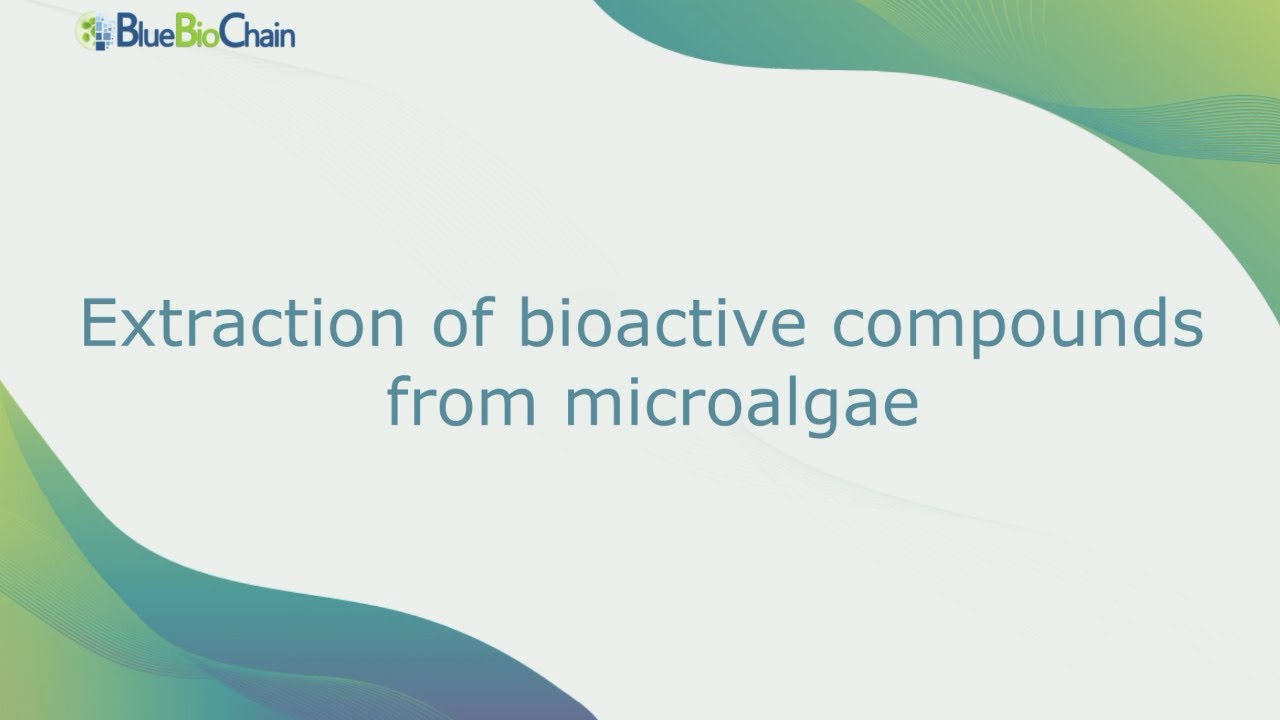 Extraction of bioactive compounds from microalgae - YouTube