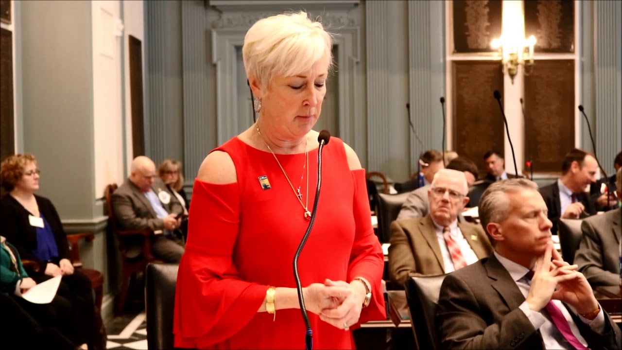 Rep. Ruth Briggs King discusses Equal Pay Day (4/10/18) in Delaware ...