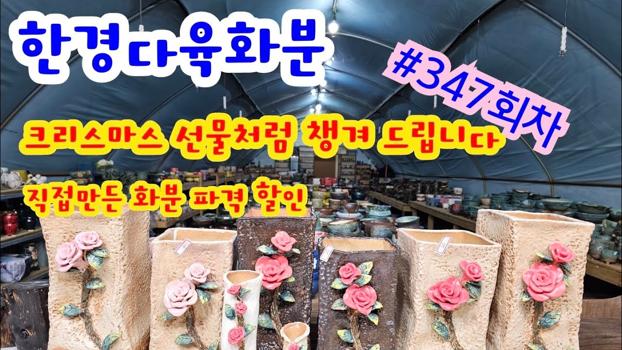 2023년 12월 25일347회차영상 한경다육화분 수제공방분 공방분 다육화분 화분 다육이 다육식물 Youtube