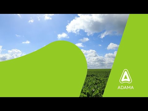 Голтиксы опыт Беларуси - YouTube