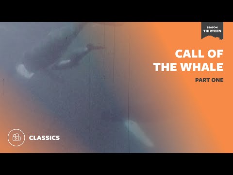 Call of the Whale Part I | Mutual of Omaha's Wild Kingdom