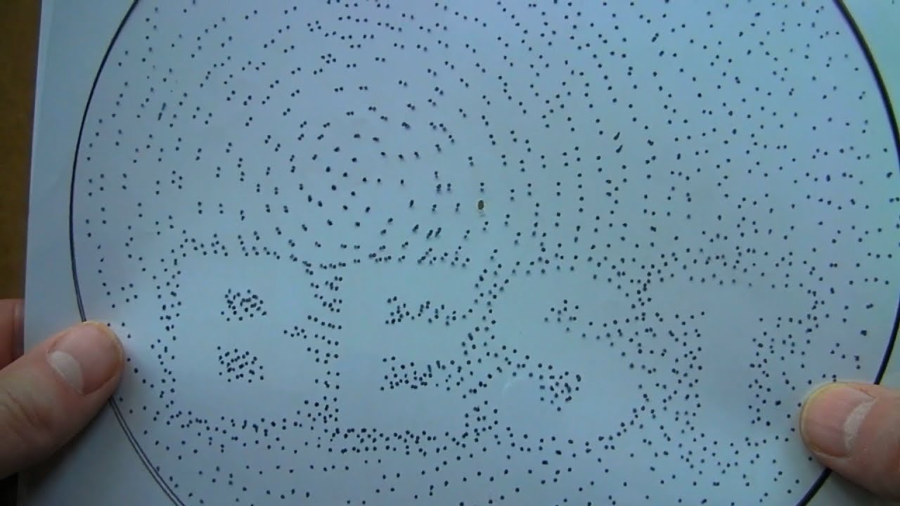 Simple Moire Effect Pattern - YouTube