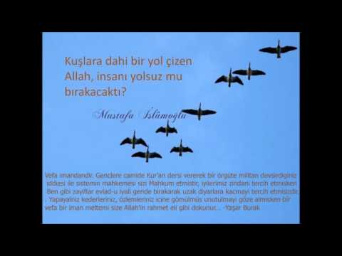 Grup Kardeşlik Çağrısı 2016 Mustafa İslamoğlu Göçmen Kuşlar