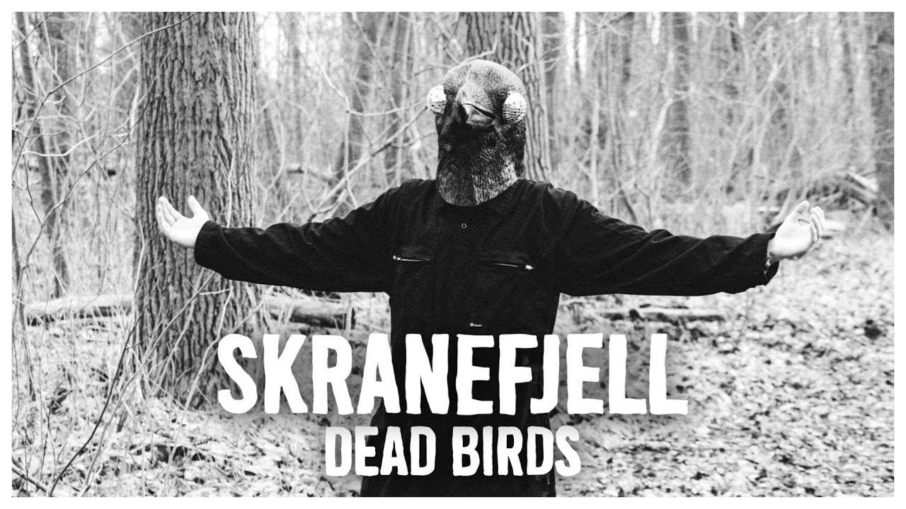 SKRANEFJELL - Dead Birds (feat. Brandy Bones) - YouTube