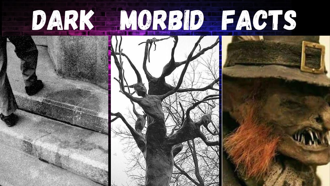 Morbid Facts You Won't Believe Are True pt.87 | Creepy Tiktok Videos ...