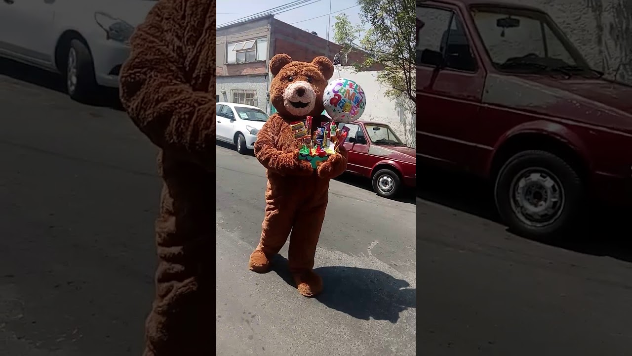 Entrega de regalo sorpresa con botarga oso CDMX - YouTube
