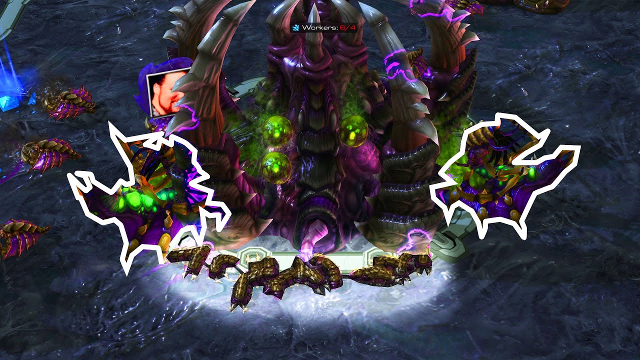 How to start winning as a beginner Zerg - YouTube