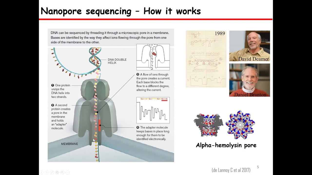 Introduction to Nanopore sequencing - YouTube