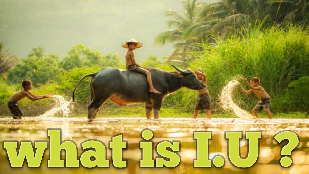 What Is I U YouTube what-is-i-u-youtube
