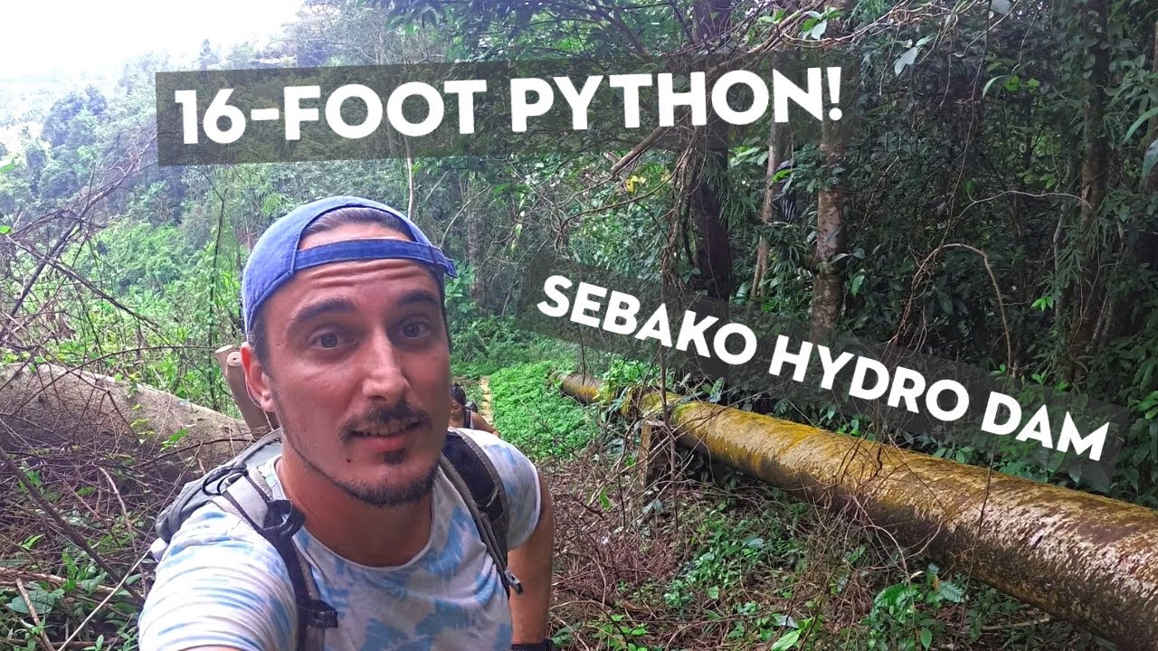 SEBAKO HYDRO DAM | 16-Foot Long Python & Hiking with the Dogs - YouTube