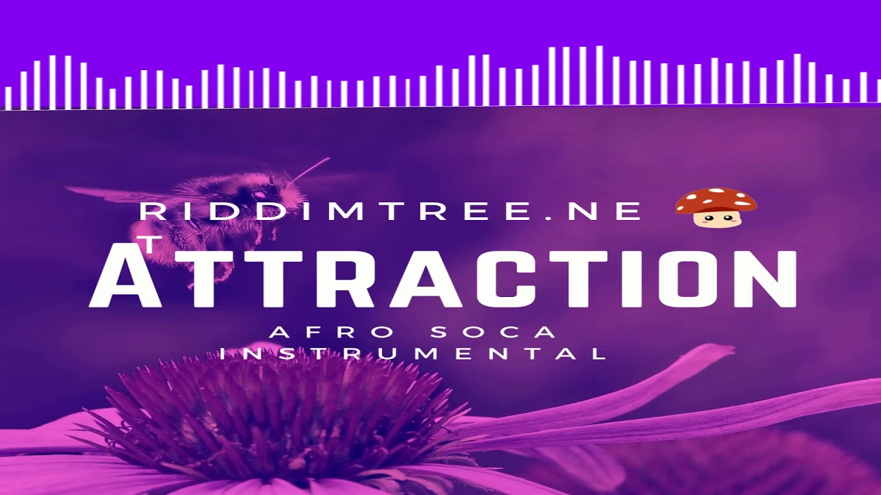 Attraction Riddim |Afro Soca Type Beat| Afro Beat| Soca Instrumental ~Calypso - YouTube