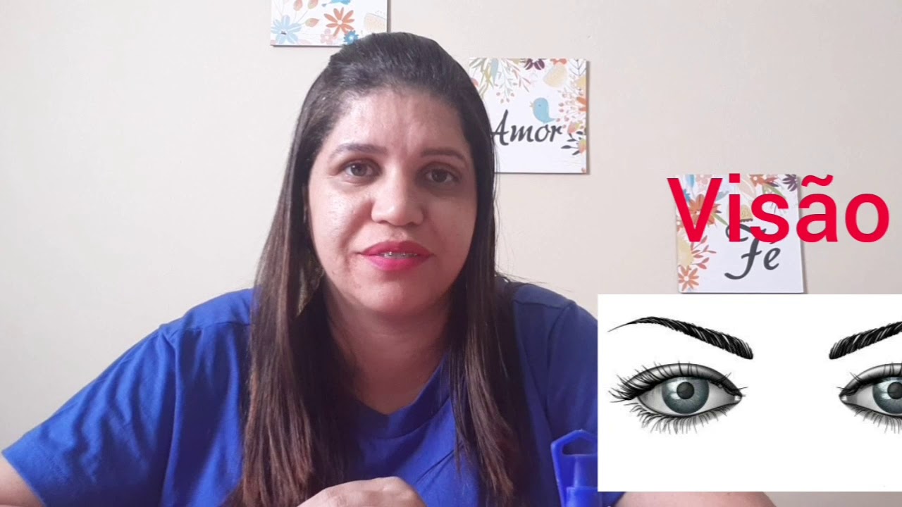 VÍDEO AULA 47 ÓRGÃO DO SENTIDO VISÃO - YouTube