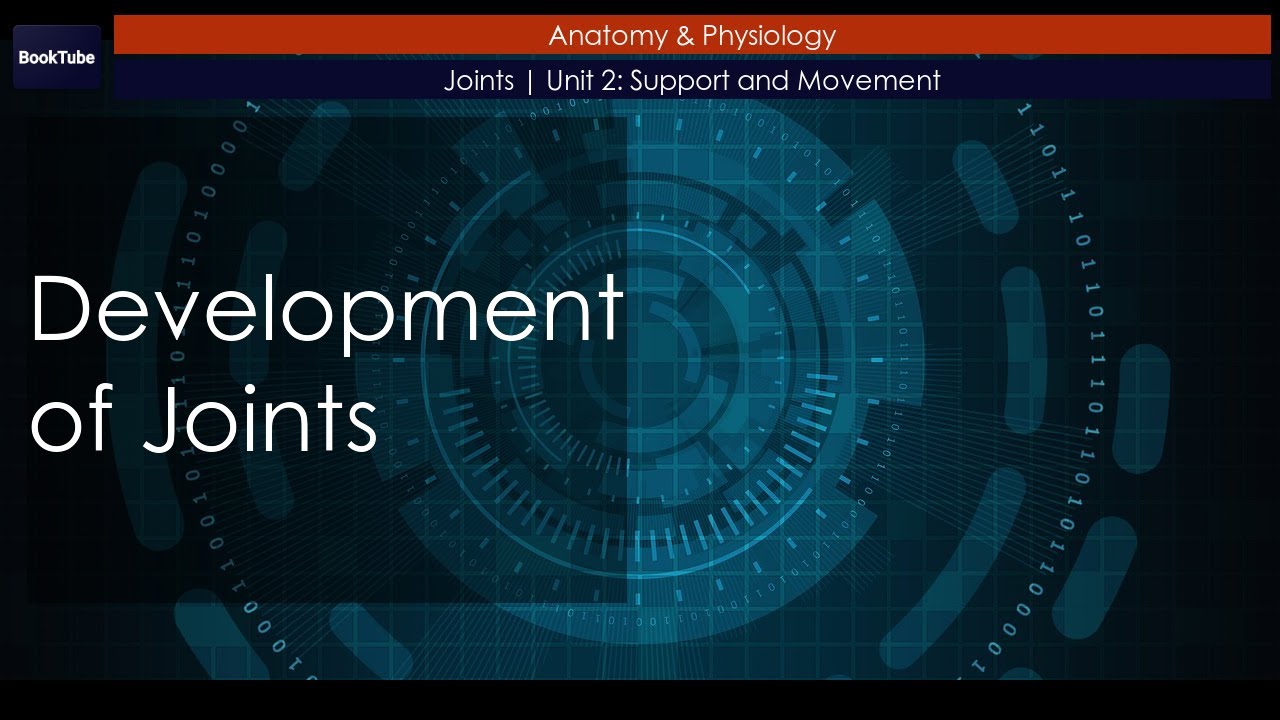 Development of Joints | Joints | Unit 2: Support and Movement - YouTube
