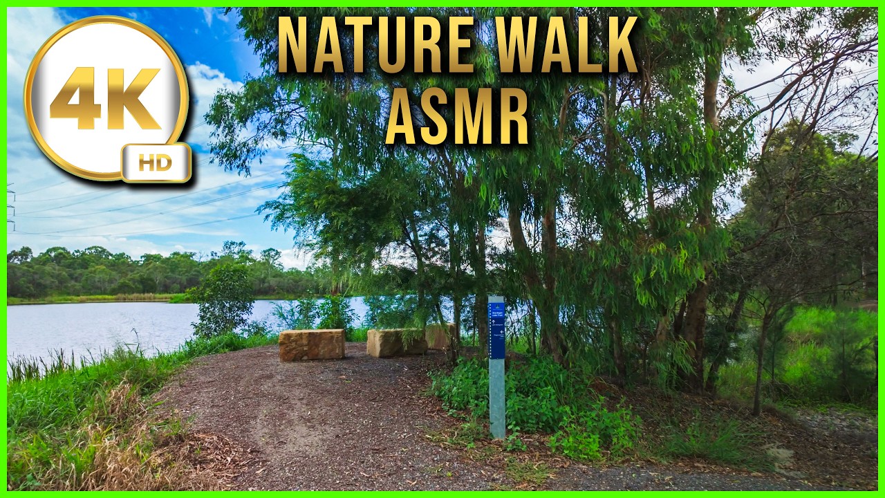 POV Hiking: Calming Nature Walk 4K ASMR Warril Parkland Forest - YouTube
