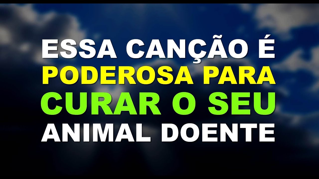 Música para cura de animal doente - YouTube