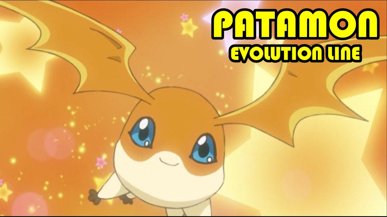 Patamon Evolution Line - YouTube