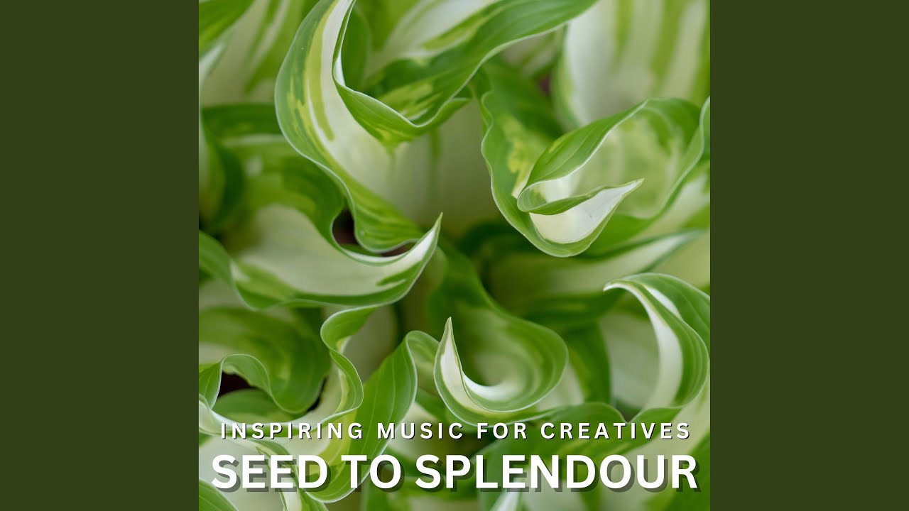 SEED TO SPLENDOUR - YouTube