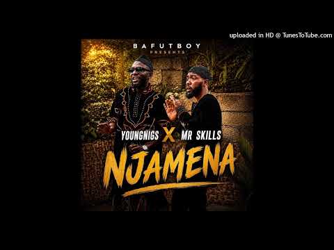 Youngnigs & Mr Skills -NJAMENA (official Audio)
