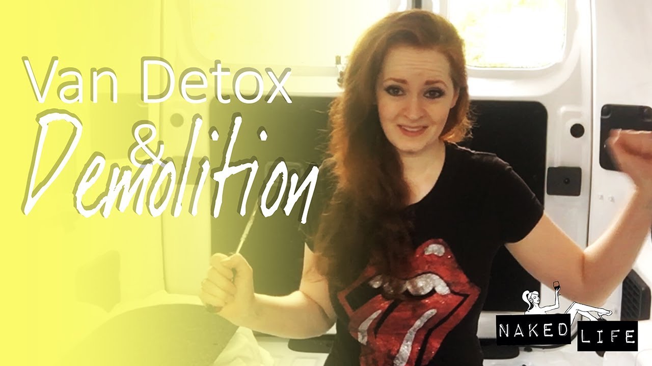 Van Detox! Documenting the process, starting our camper van build - YouTube