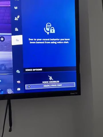 Fortnite reviews: Banned from voice chat for no reason | PissedConsumer ...