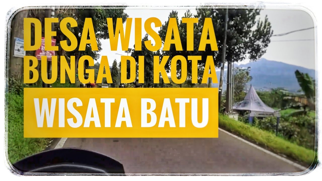 Sumberejo, Desa Wisata Bunga Mawar dan Hias di Kota Wisata Batu - YouTube