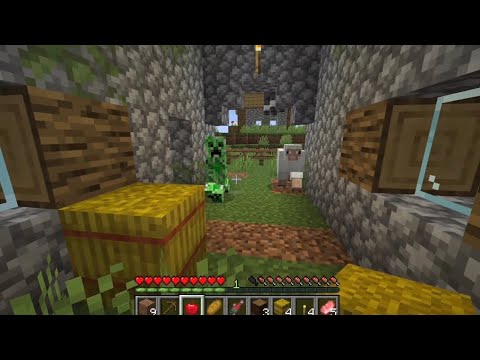 Episode 1: Shiny Flowers