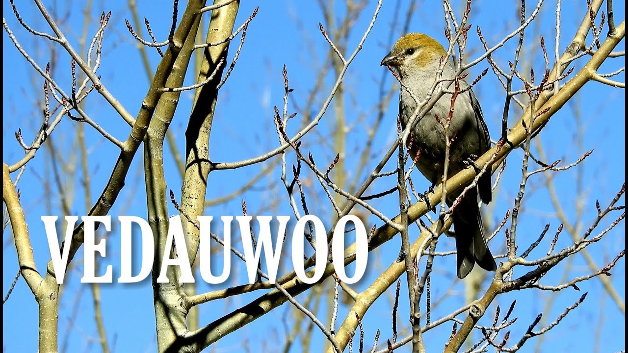 Vedauwoo: Turtle Rock Loop - YouTube