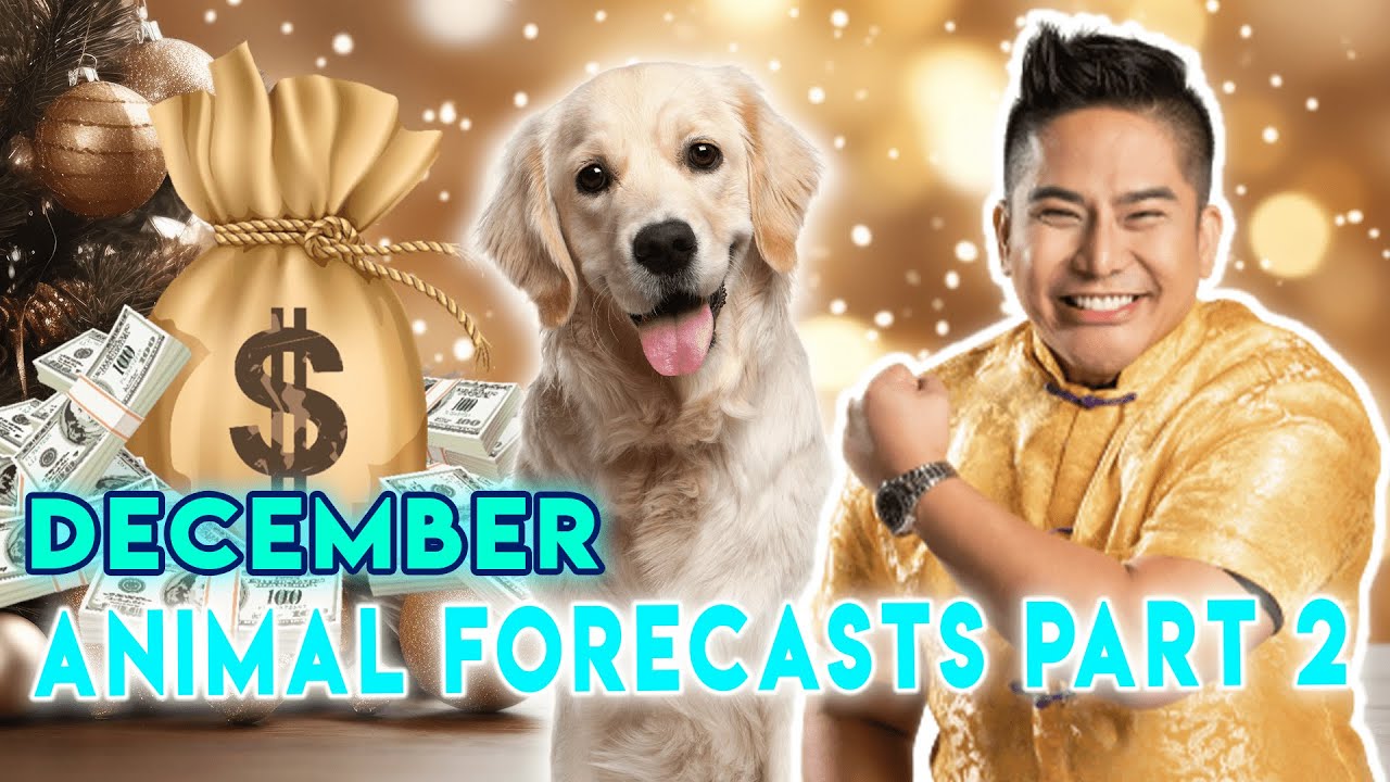 DECEMBER 12 ANIMAL FORECASTS part 2 by Feng Shui Master Hanz Cua - YouTube
