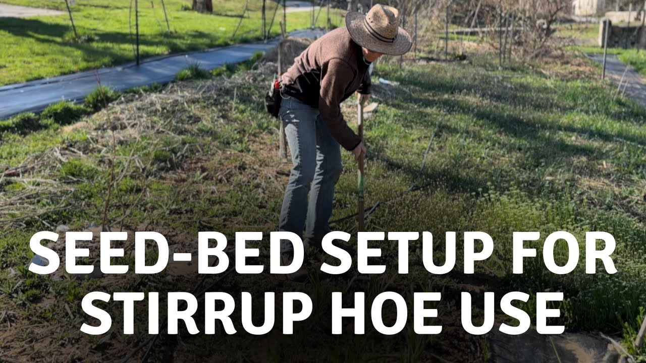 Seed-Bed Setup For Stirrup Hoe Use - YouTube