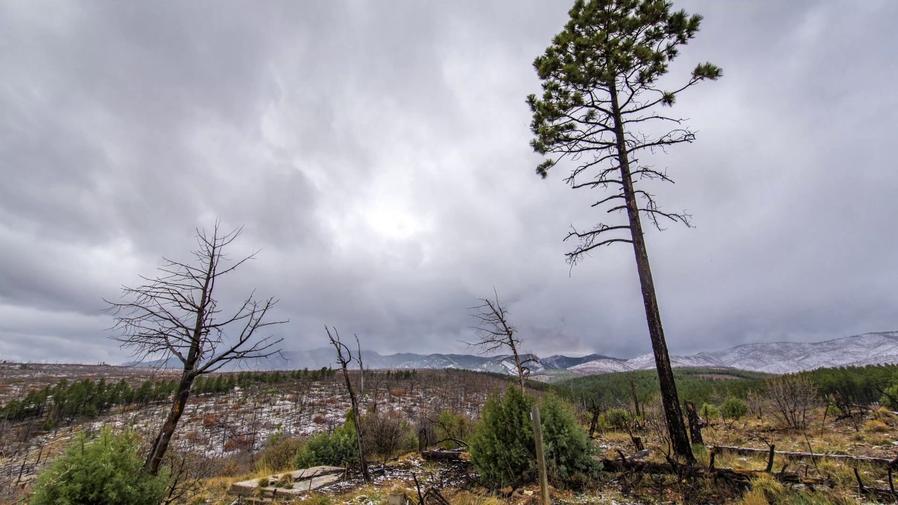 Manzano Mountain - Snow Storm Timelapse (4K) - YouTube