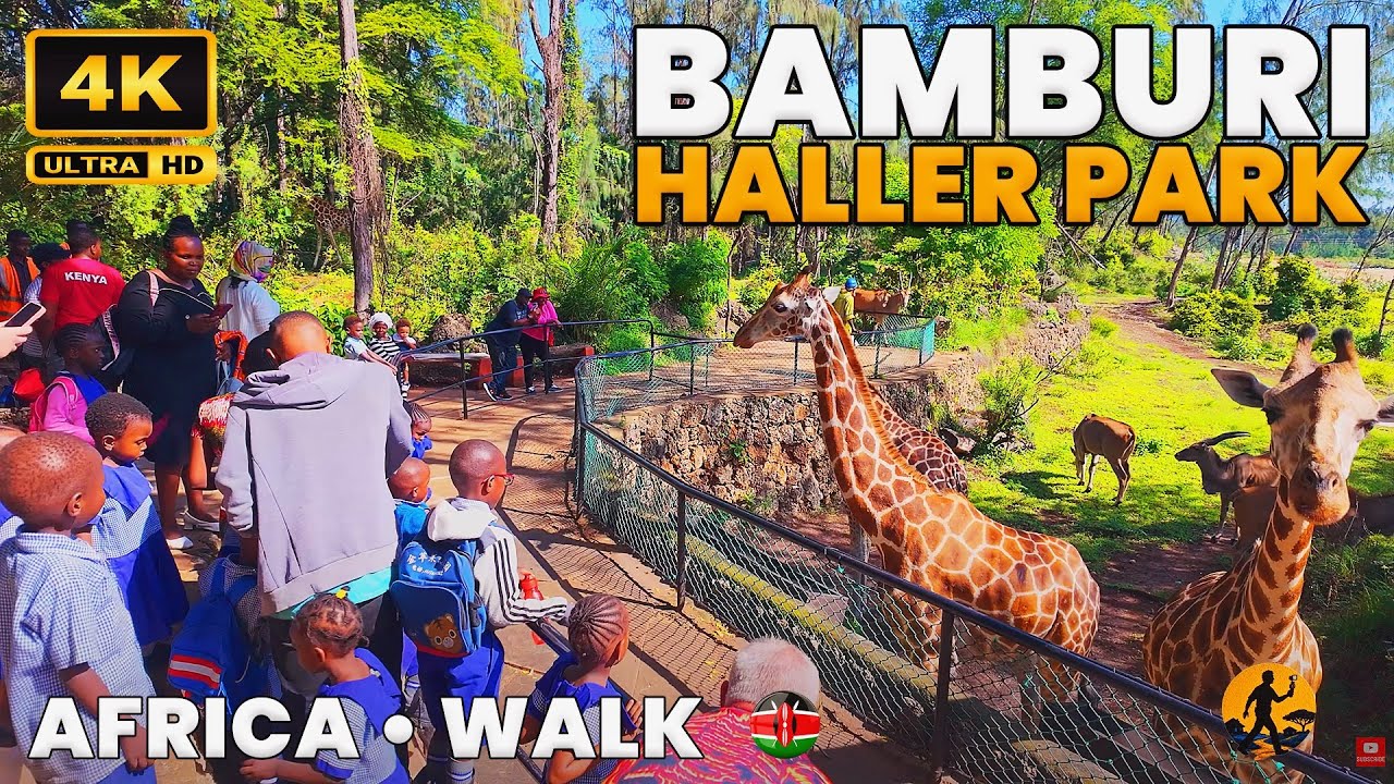 Haller Park Mombasa, Kenya 🇰🇪 | 4K UHD Walking Tour with Giraffes ...