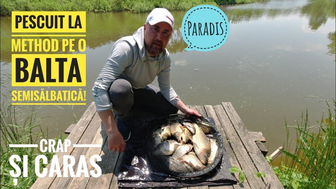 Pescuit la method feeder pe o baltă semisălbatică! - YouTube