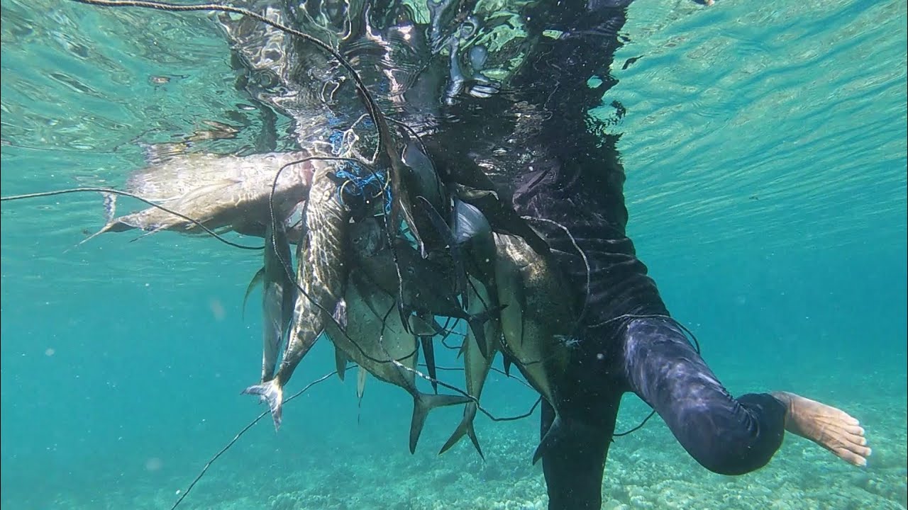 Pelaku ilegal fishing/ bom💣 menghancurkan karang dan memusnahkan ikan ...