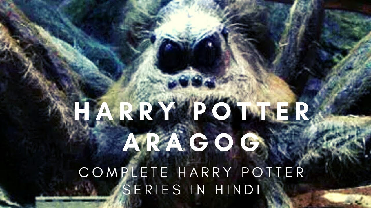 Aragog Harry Potter | Harry Potter Aragog Death Scene | Harry Potter ...