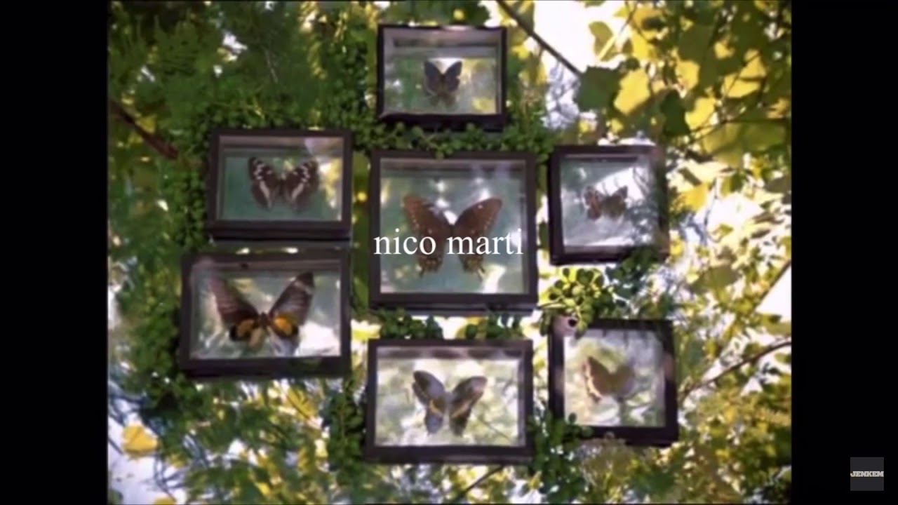 Nico Marti - Birch - YouTube