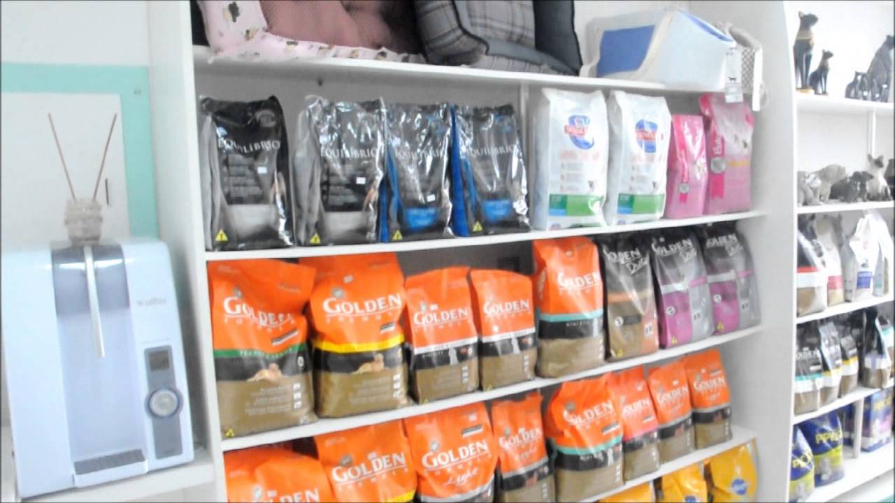 Pet Stock Final - YouTube
