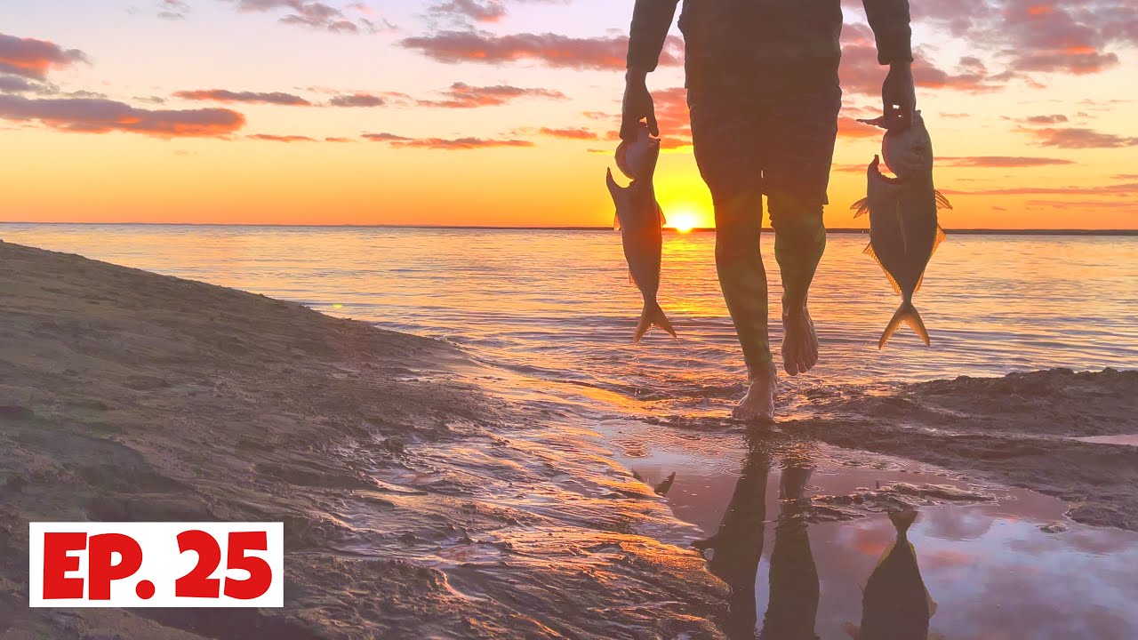 Land Based Fishing a Beautiful New Zealand Harbour - YouTube