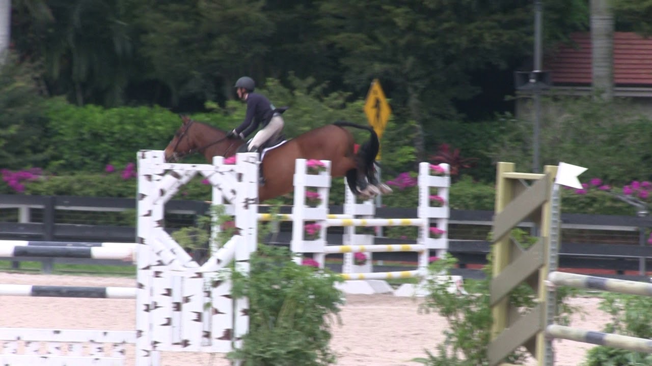 00098 CAPITAINO DE FLOBECQ WASHINGTON JUMPER PHASE 3 6 2020 - YouTube