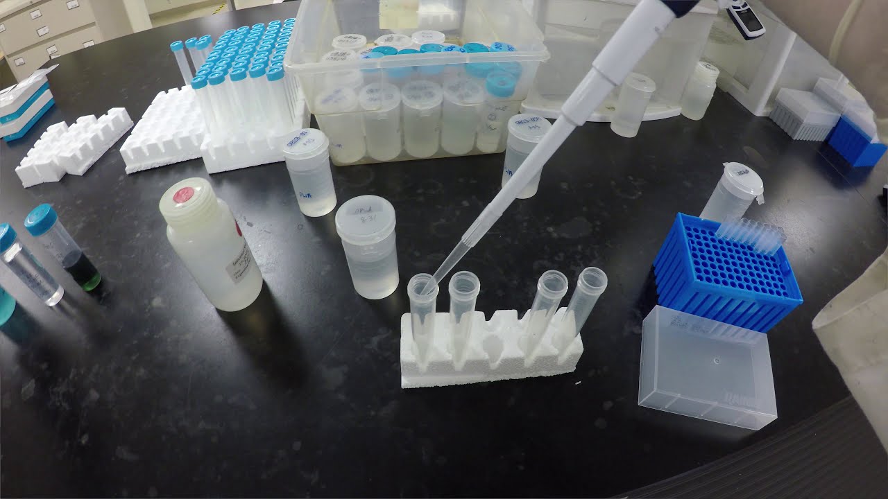 Get to know NSL Analytical Services - YouTube