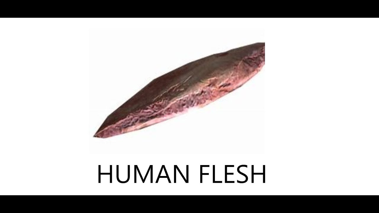 SPAWNING 1/10/100/1000 HUMAN FLESH (FALLOUT 3) - YouTube
