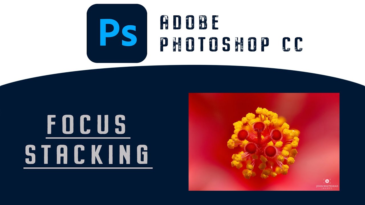 How To Create Stunning Depth of Field with Focus Stacking in Macro ...