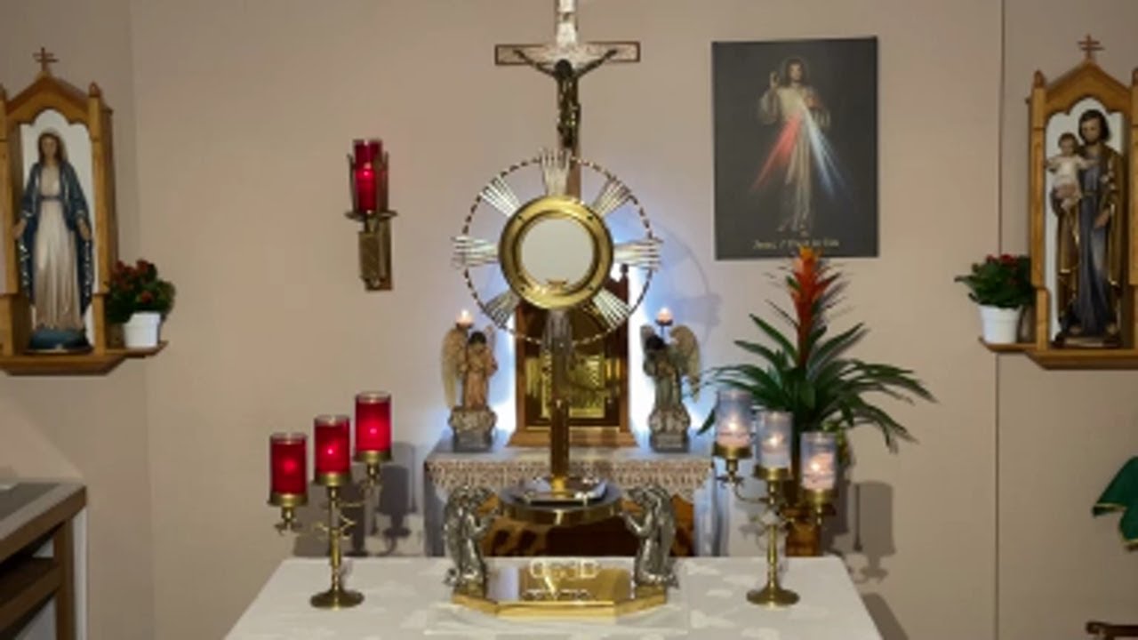 LIVE Eucharistic Adoration - Sisters of Divine Mercy - YouTube