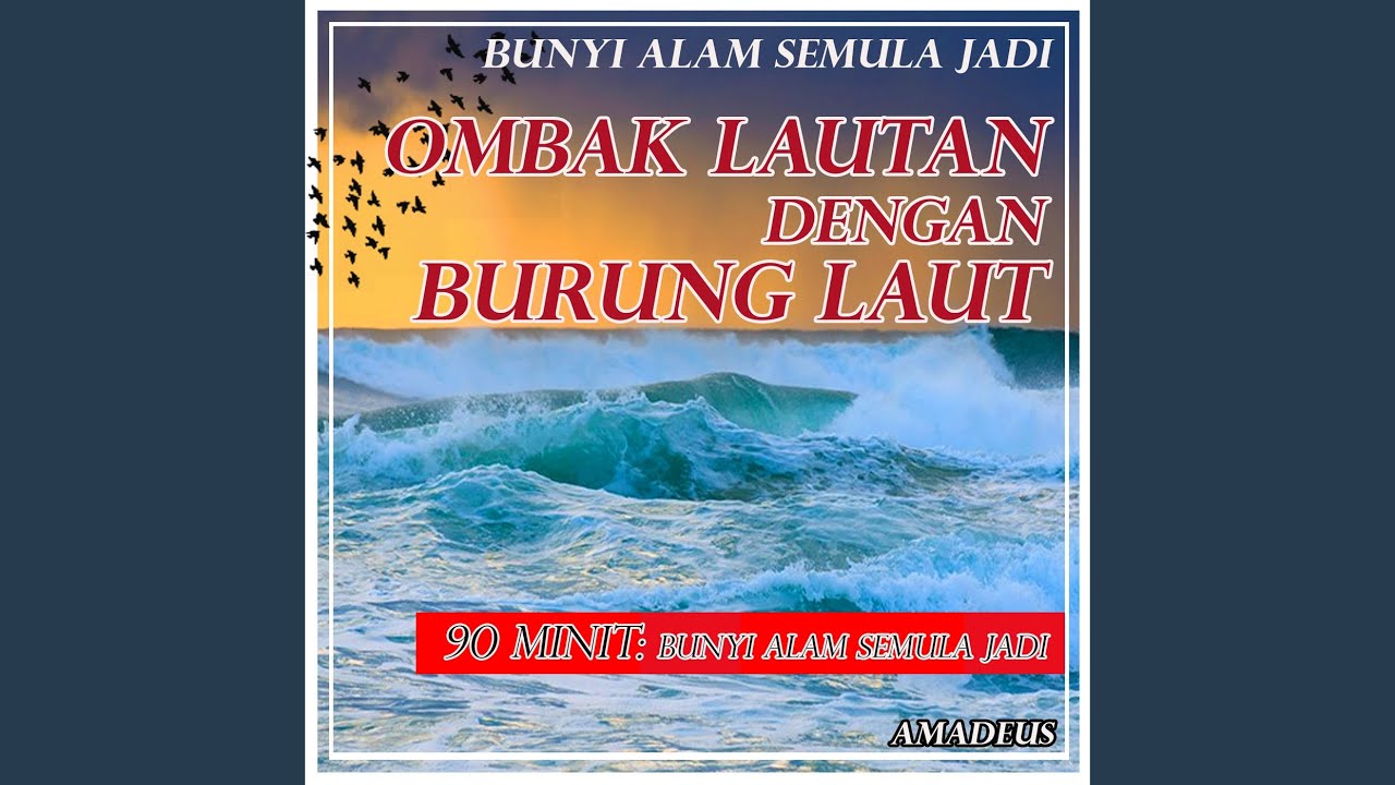 Ombak lautan dengan burung laut: bunyi alam semula jadi - YouTube Music