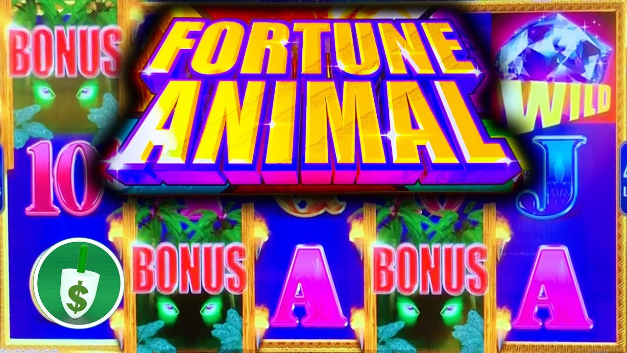 Fortune Animal slot machine, bonus - YouTube