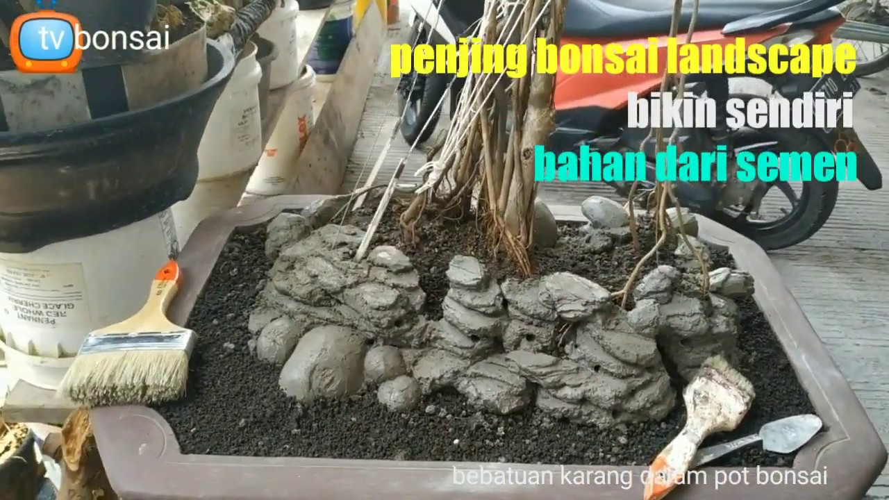 Bikin sendiri penjing bonsai landscape bebatuan karang dalam pot ( how ...