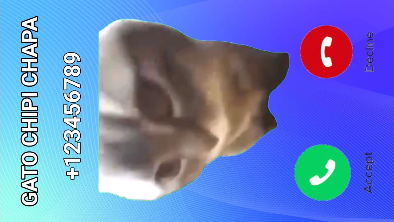 LA DIVERTIDA LLAMADA DE GATO CHIPI CHAPA / TELÉFONO - YouTube