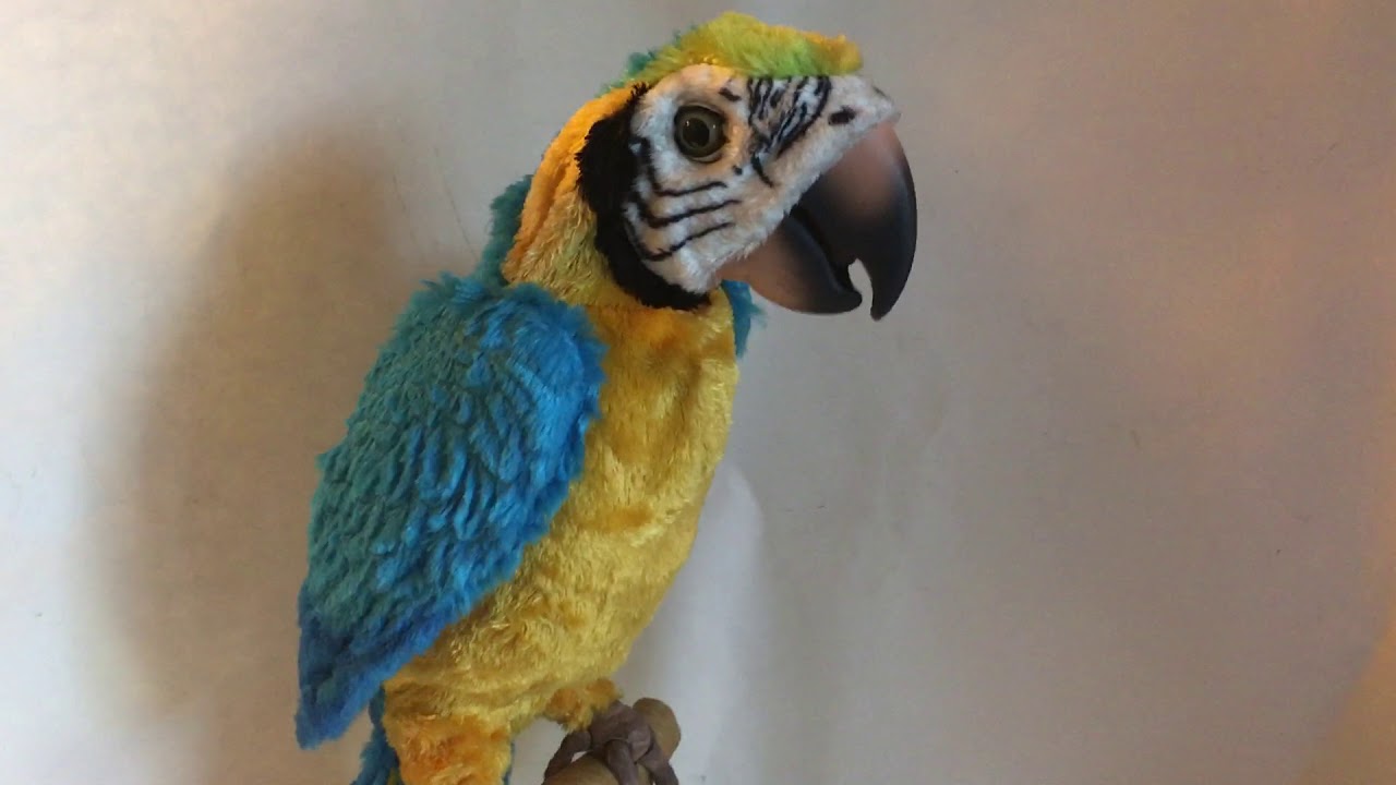 Furreal friends Squawkers McCaw Robot Parrot - YouTube