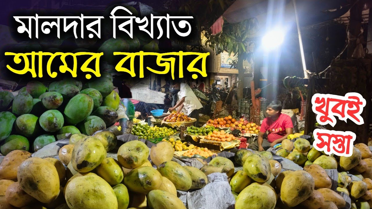 🥭MALDA: বিখ্যাত আমের বাজার 2024😳| malda mango market | malda aam bazar ...