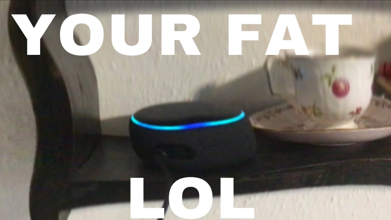 Alexa roasts google - YouTube