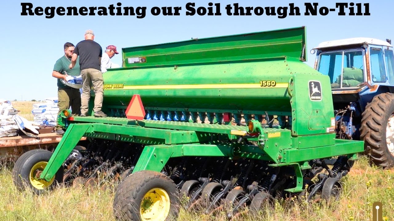 Planting Winter Crop for Cattle in Texas using No-Till - (Making Elderberry Syrup) - YouTube